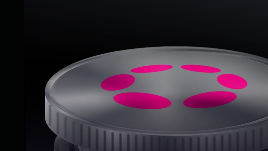 DOT Coin Nedir? Polkadot Geleceği Nasıl? - Midas